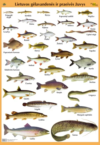 Lietuvos žuvys
